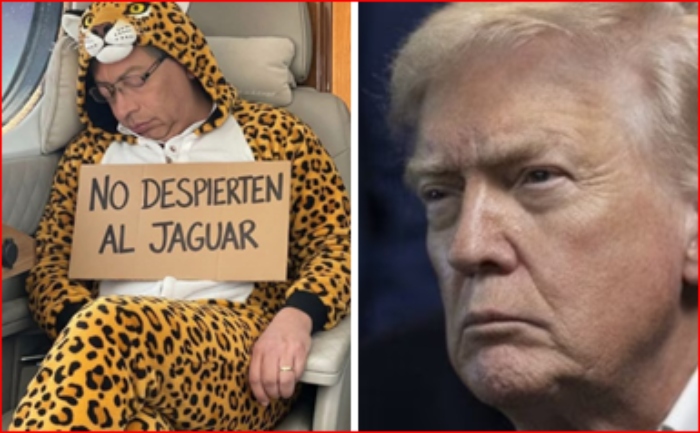 Los mejores memes tras la conversación Trump- Petro